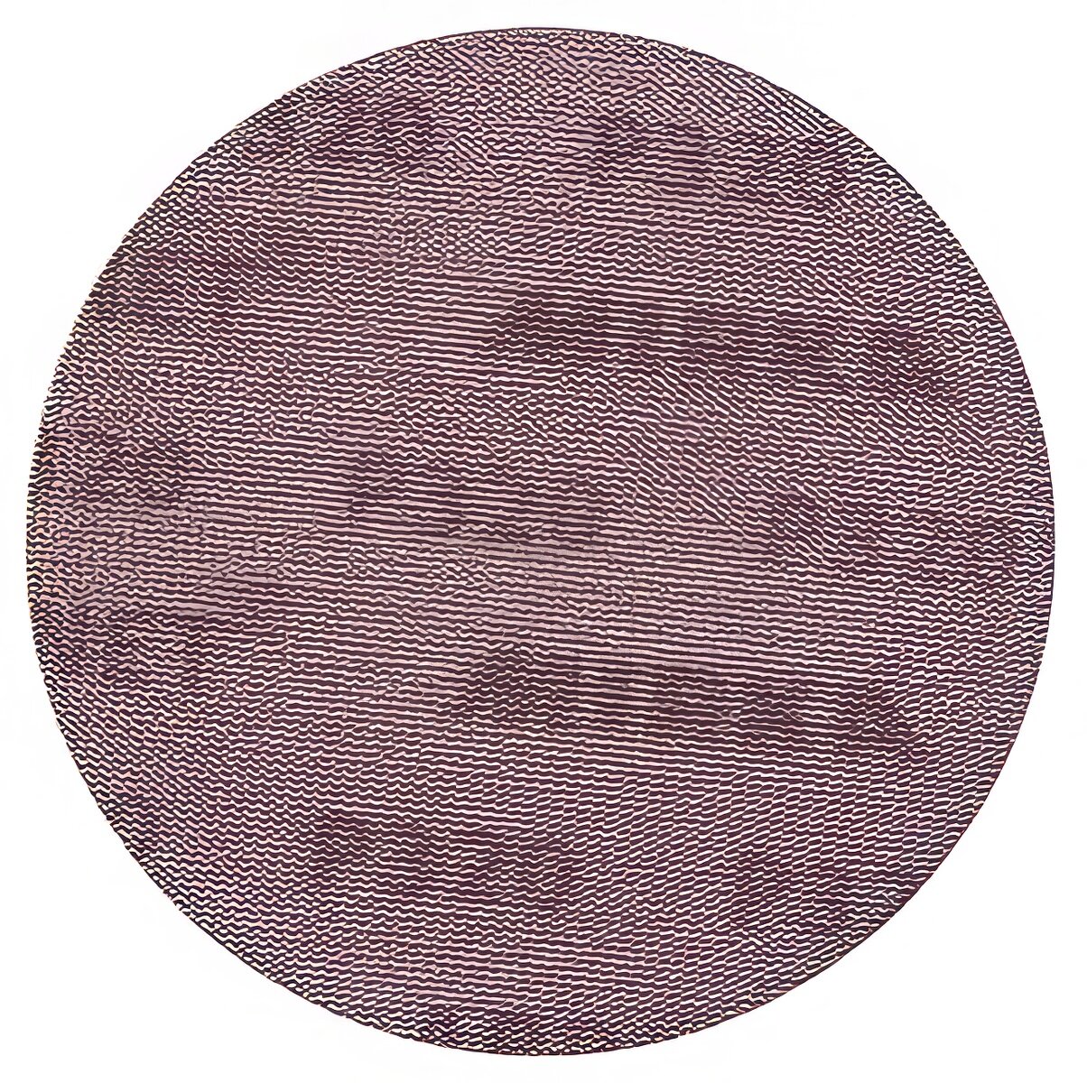 Диск шлифовальный Mirka Abranet d125 мм P320 на липучку сетчатая основа (5 шт.)