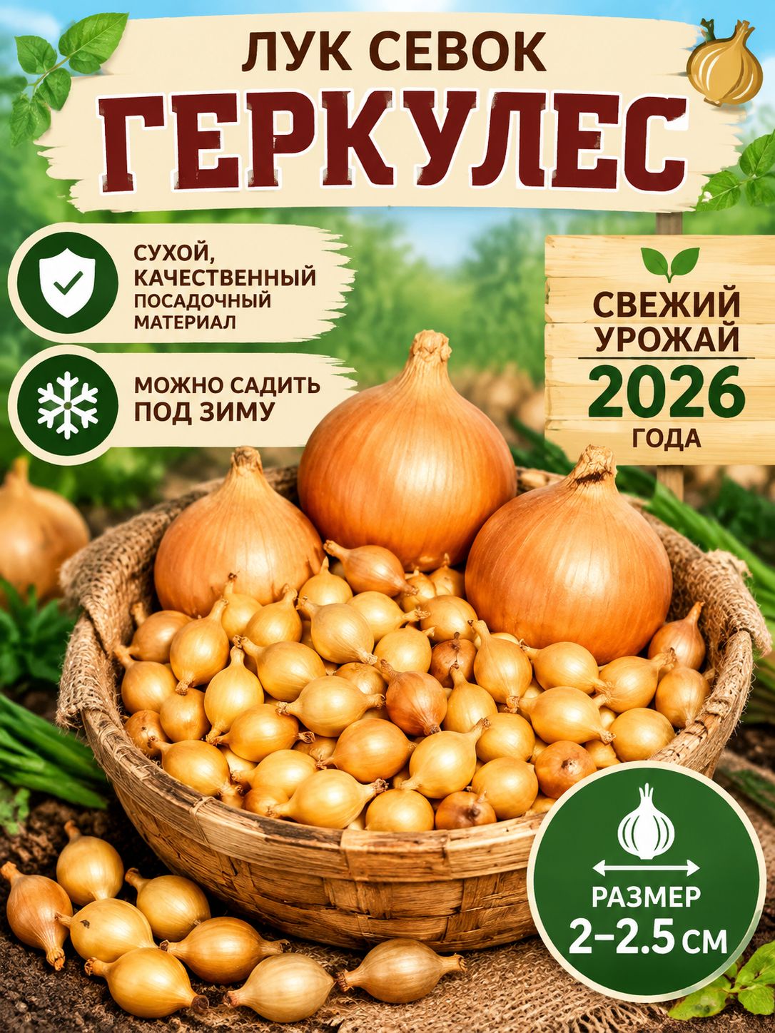 Лук-севок Геркулес, 0.5 кг