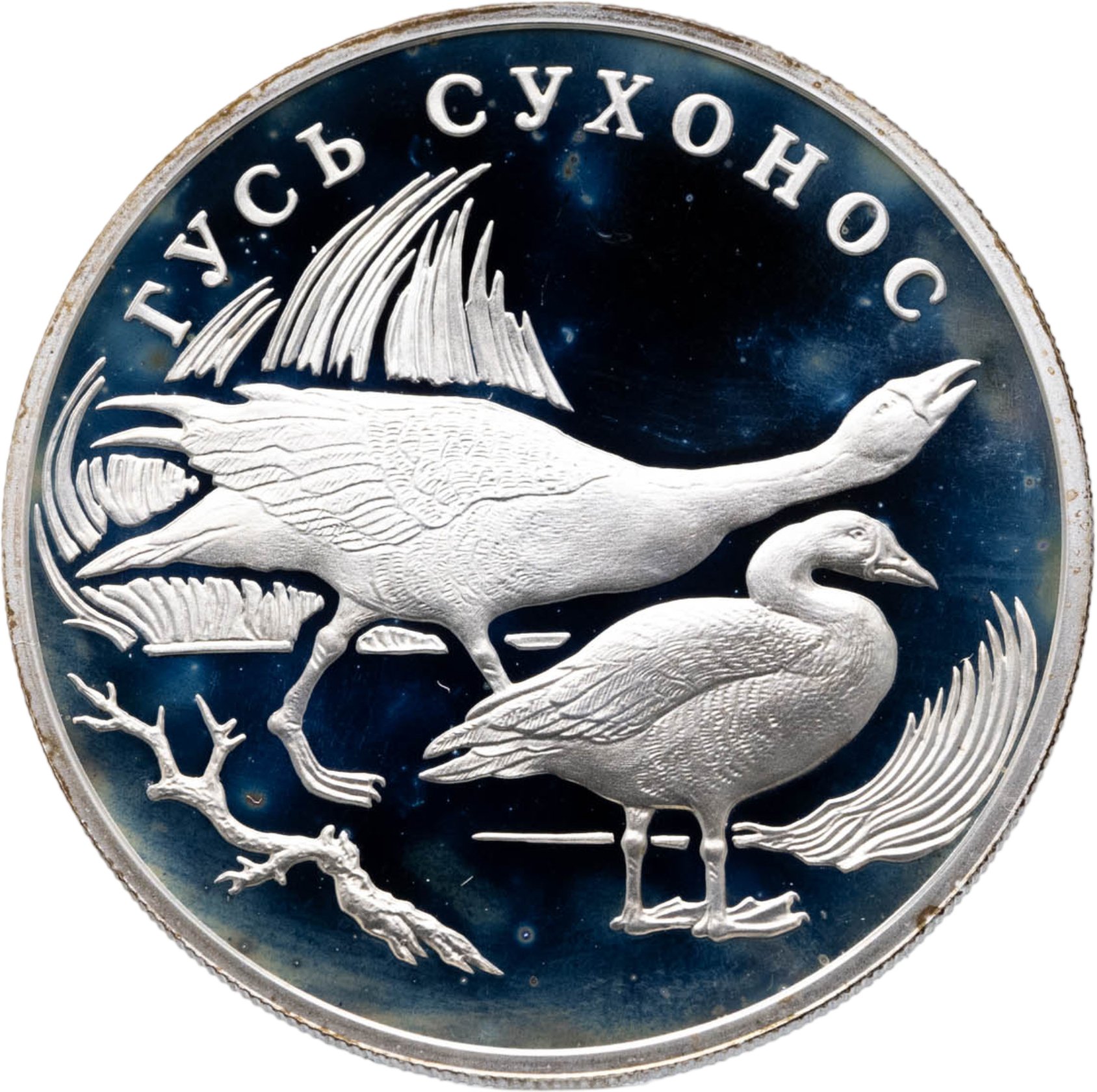 1 рубль 2006 СПМД гусь сухонос, Серебро 925, в сохранности Proof