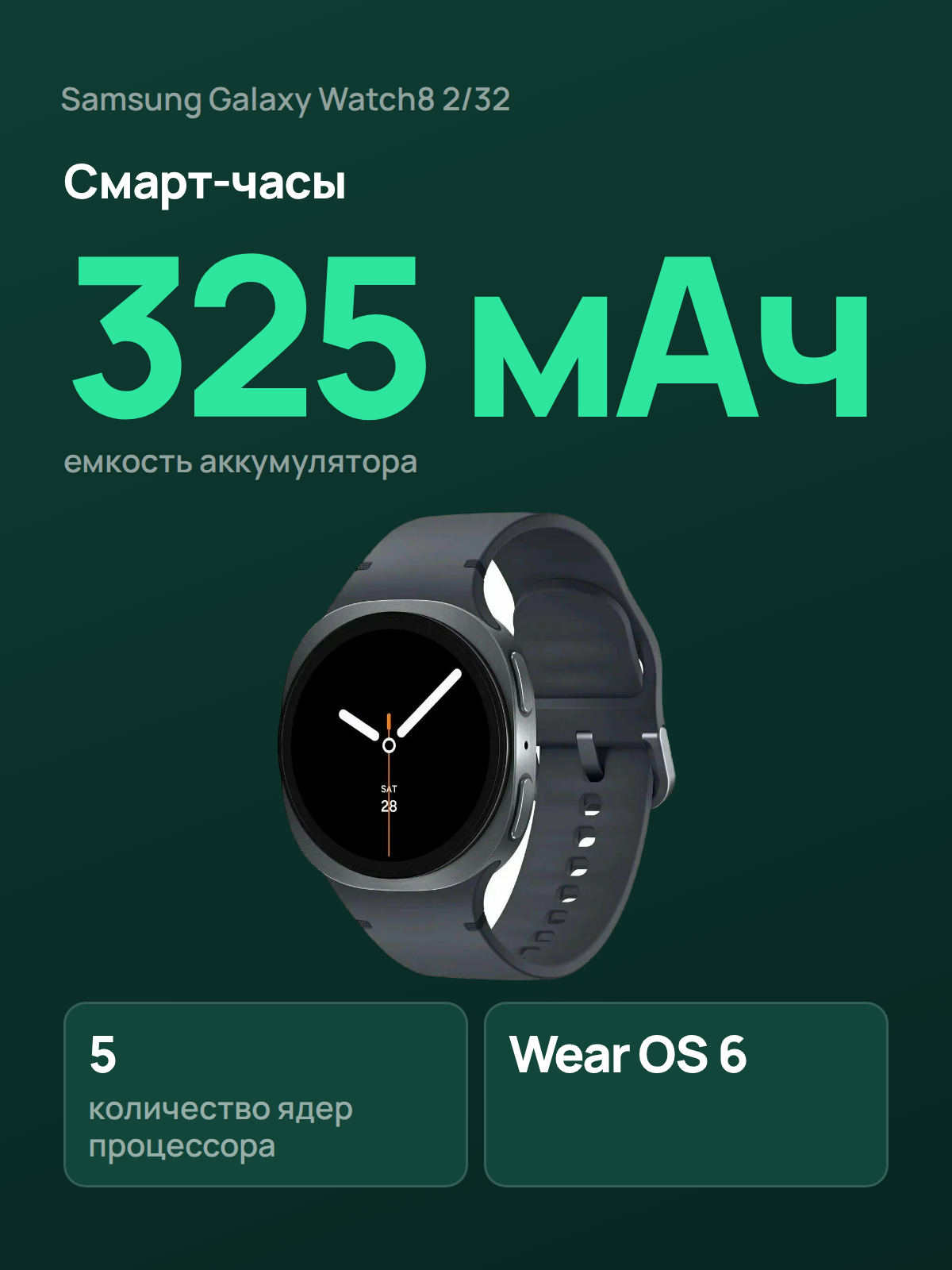 Смарт-часы Samsung Galaxy Watch8 32 ГБ графит, LTE, eSIM, AMOLED, Wear OS 6
