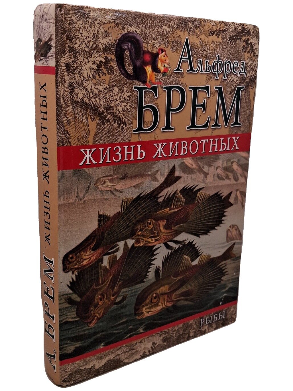 Жизнь животных: Рыбы