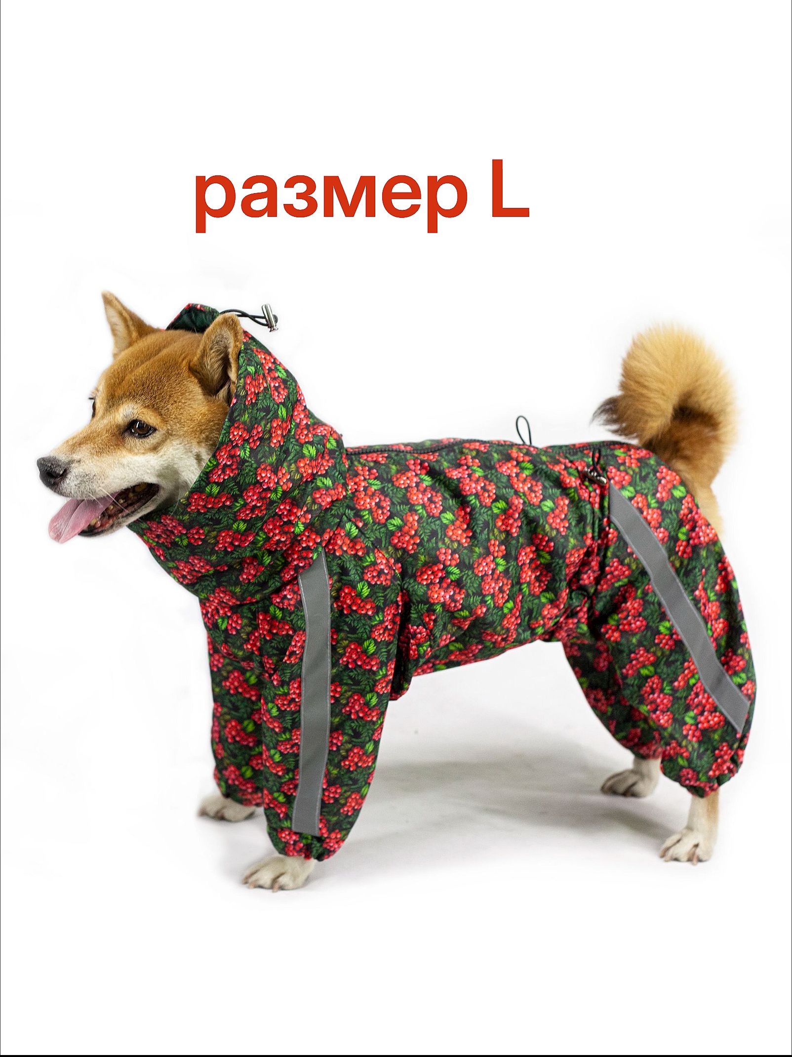 Комбинезон-дождевик на Басенджи (для девочки) "Брусника"
