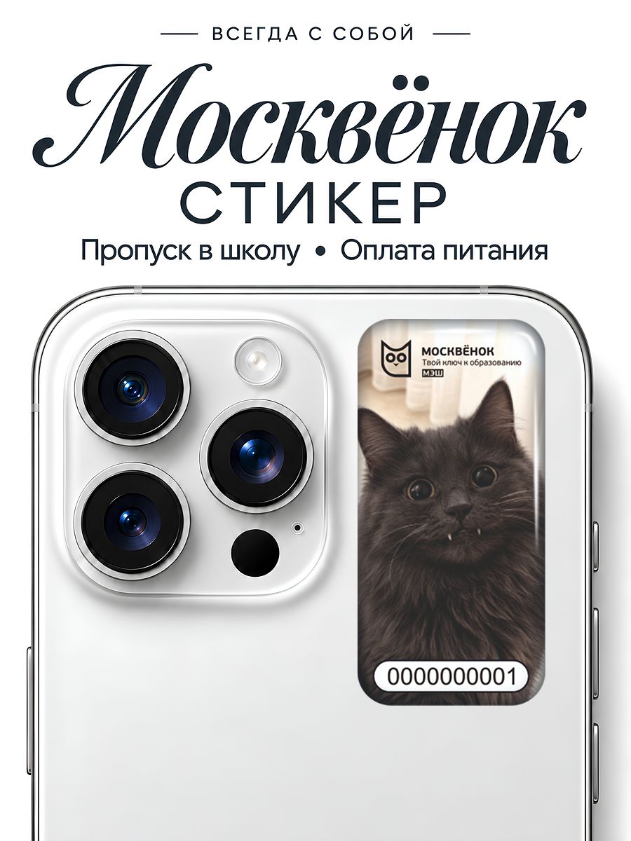 Стикер Москвёнок пропуск в школу