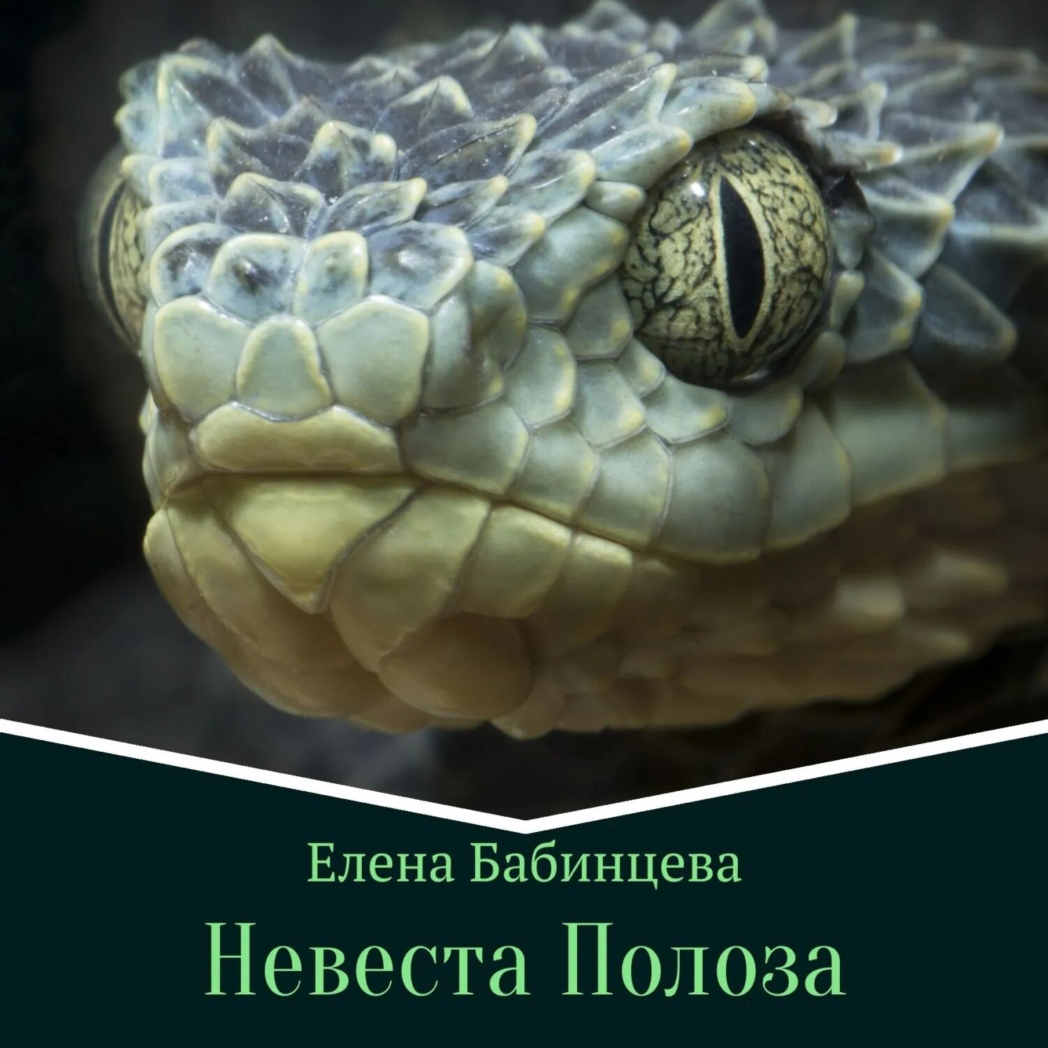 Невеста Полоза [Аудиокнига]