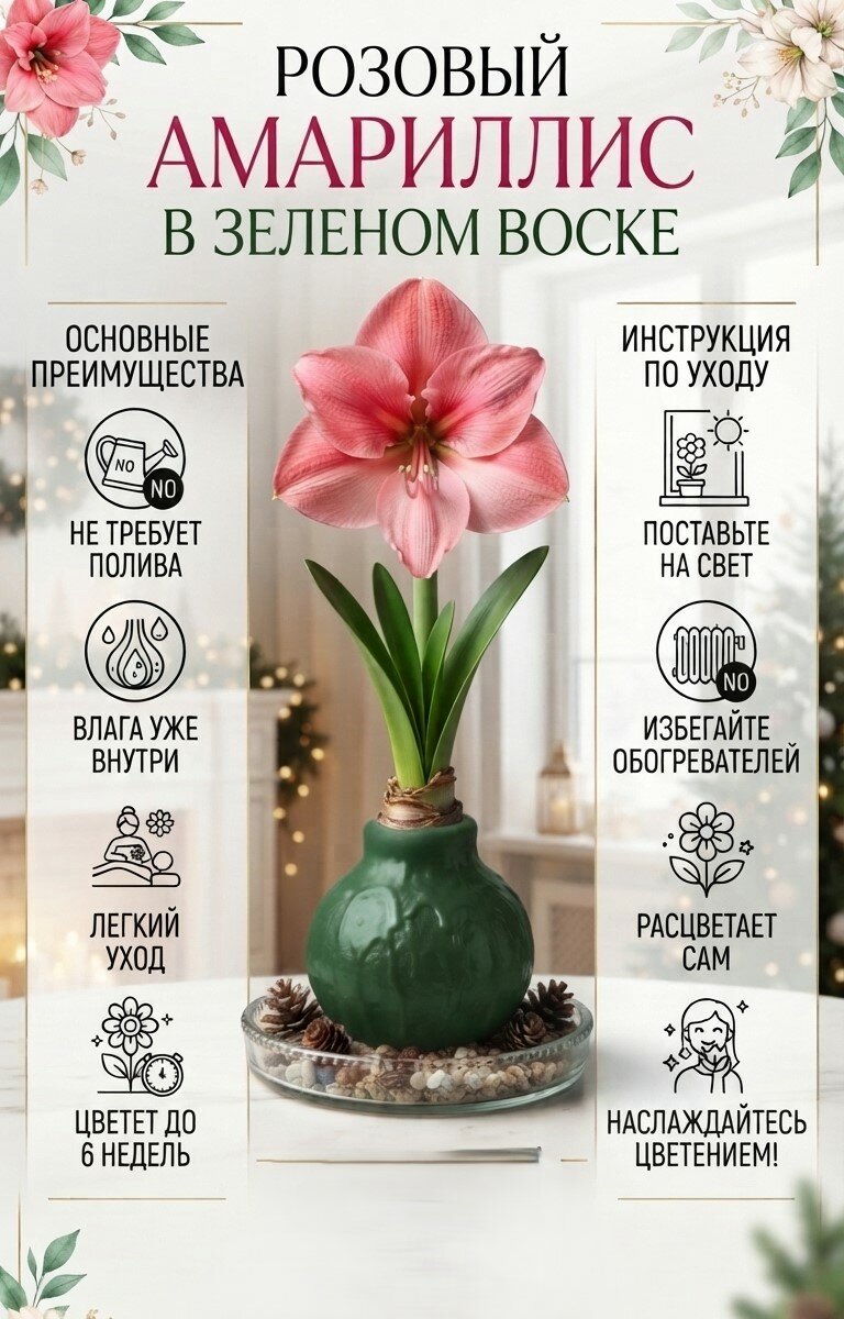 Розовый Амариллис в зеленом воске - изысканный акцент для любого интерьера