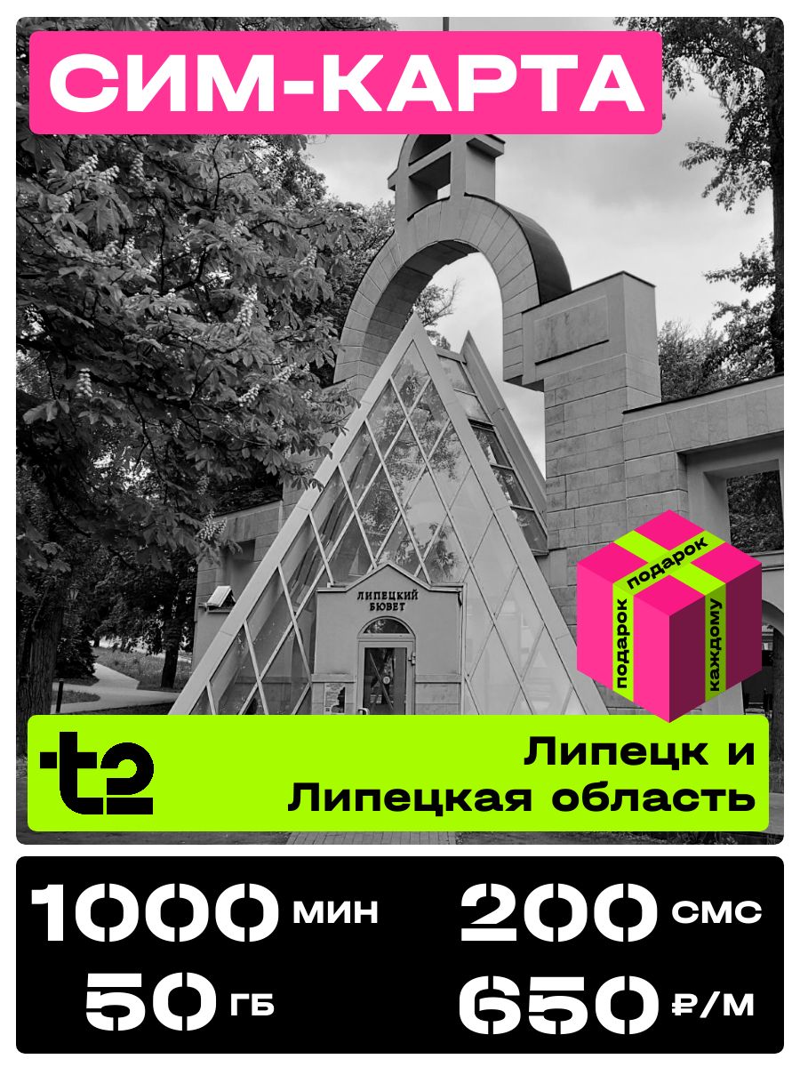 Сим карта теле 2. t2 SIM-карта тариф Партнер М Липецкая область. 1000 минут за 650 рублей в месяц.