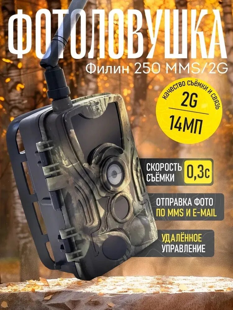 Фотоловушка Сокол 250 с функцией отправки SMS/MMS и поддержкой 2G / видеокамера для охраны, охоты и наблюдения за животными