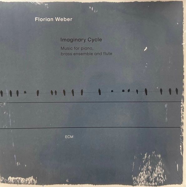 Виниловая пластинка FLORIAN WEBER Imaginary Cycle (2LP)