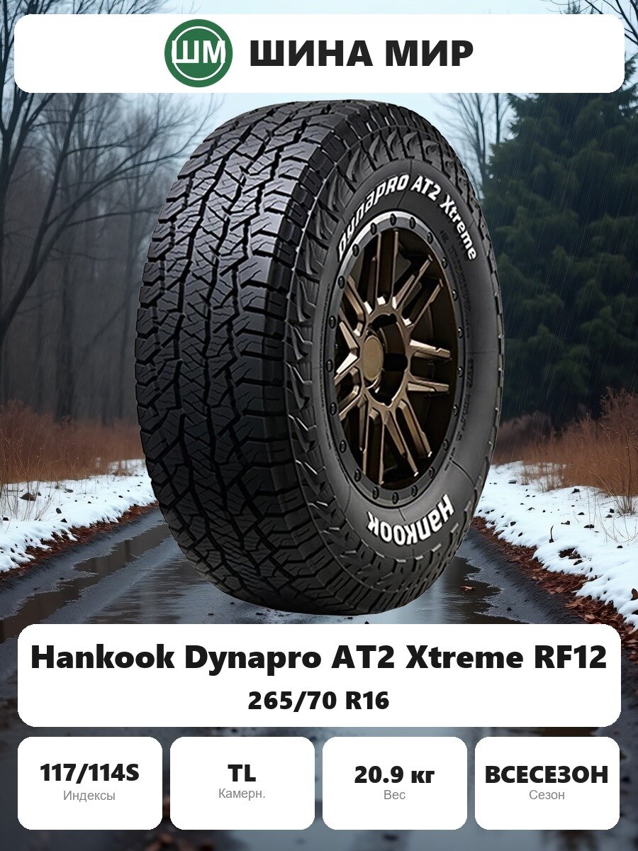 Шина Hankook Dynapro AT2 Xtreme RF12 265/70 R16 117/114S Всесезонная Нешипованная