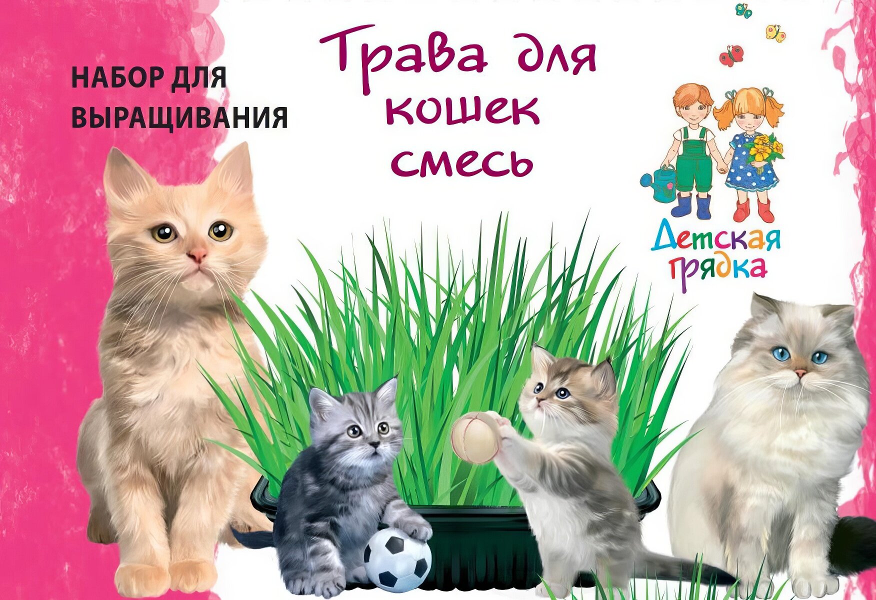 Семена Набор для выращивания 'Трава для кошек Смесь' Детская Грядка