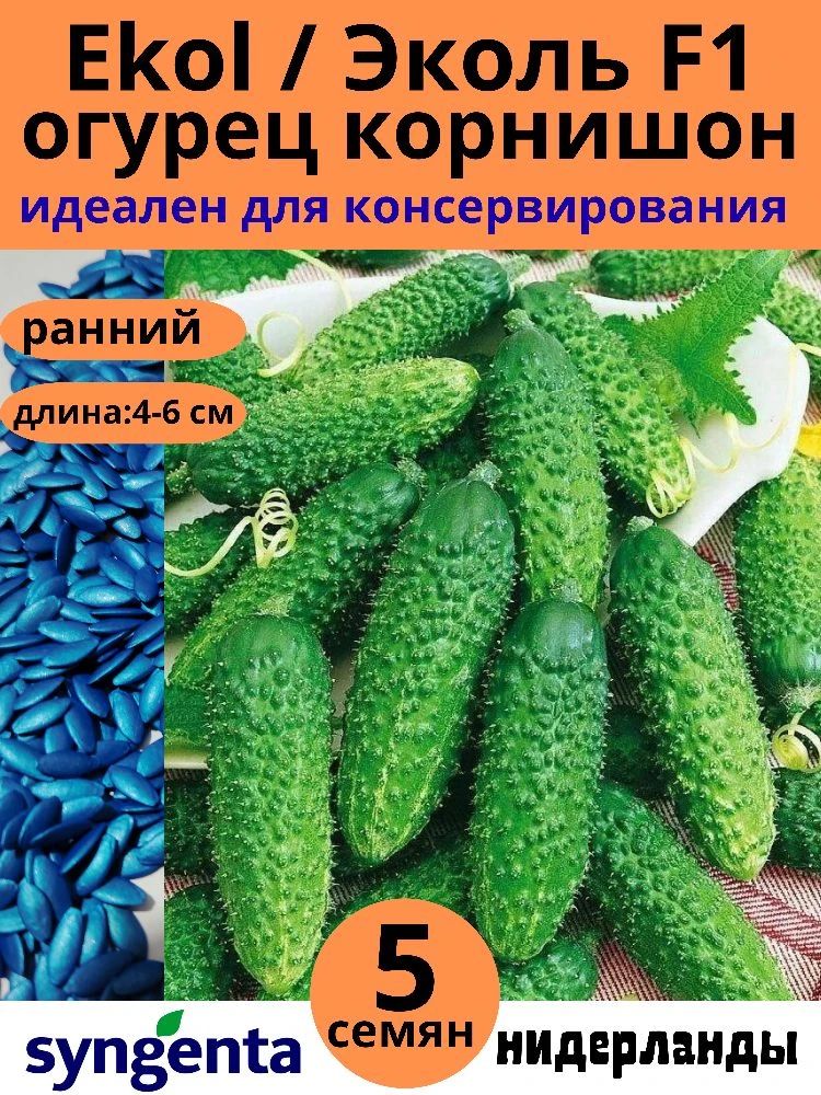 Ecol/Эколь F1 Нидерланды/семена огурца корнишона 5шт.