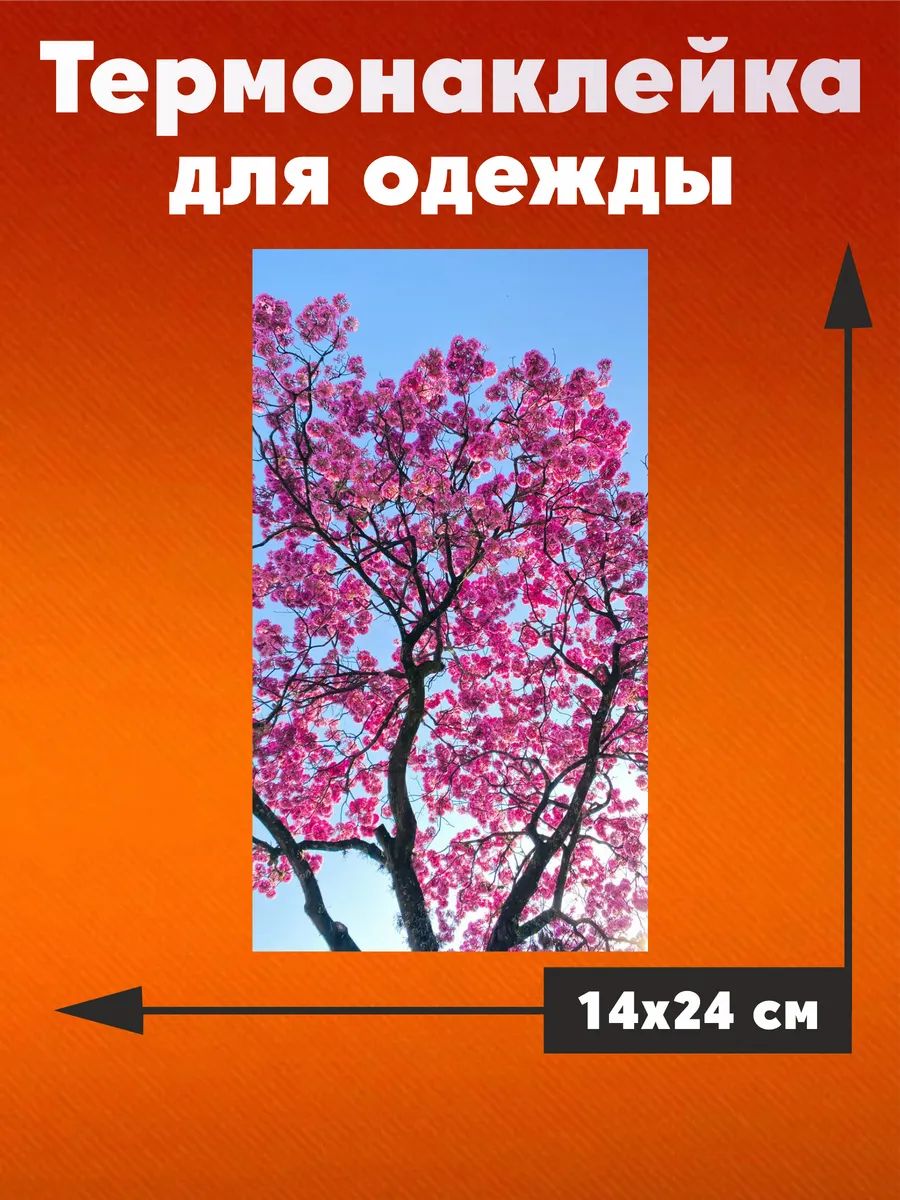 Термонаклейка на одежду Япония сакура