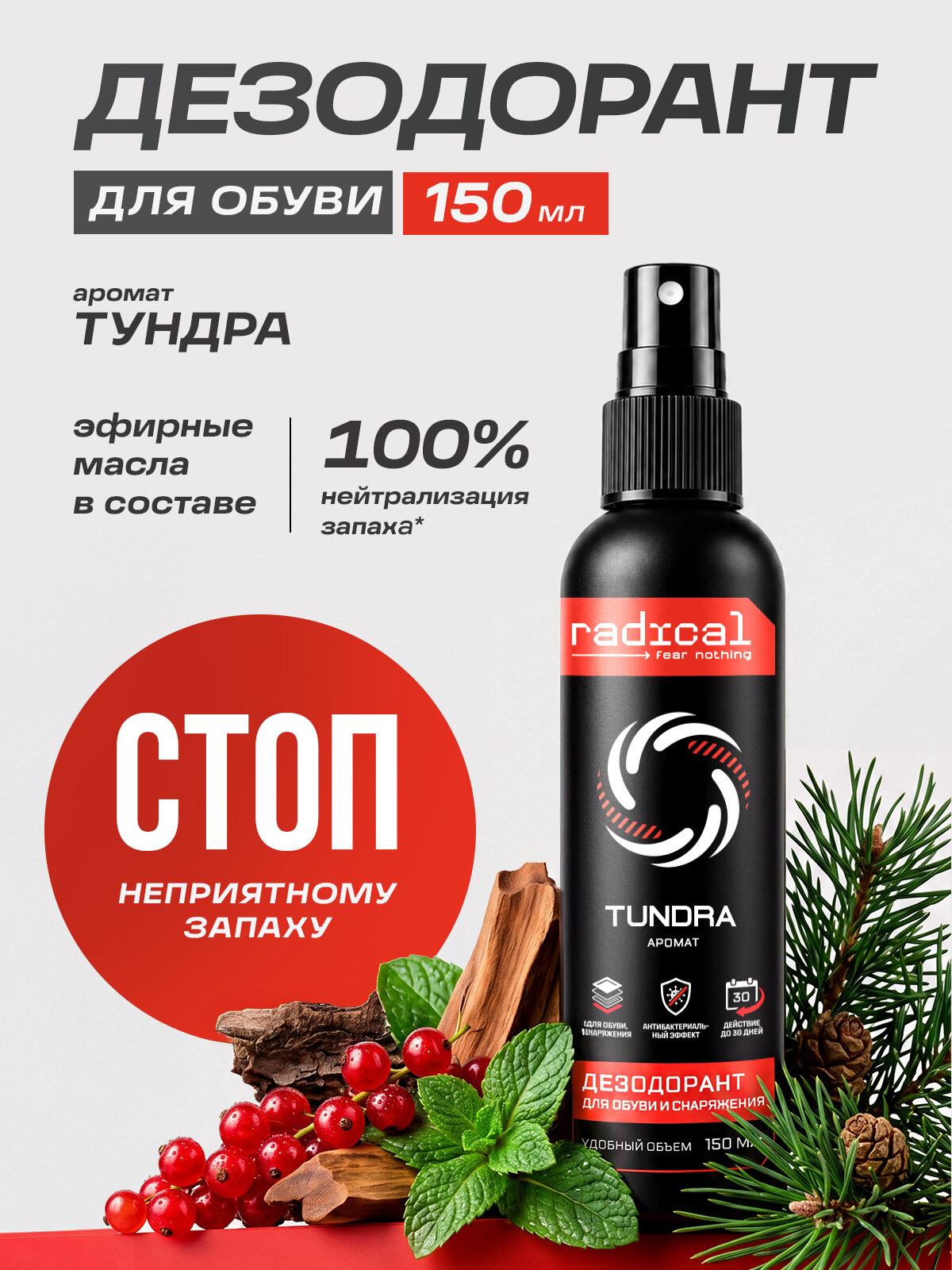 Дезодорант для обуви от запаха антибактериальный 150 мл. Radical Тундра