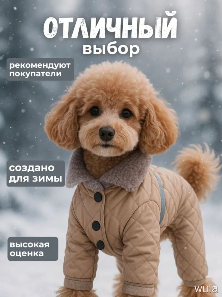 Зимний комбинезон для собак для защиты от холода