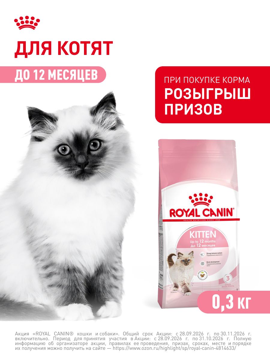 Сухой корм для котят Royal Canin Kitten, 300 г