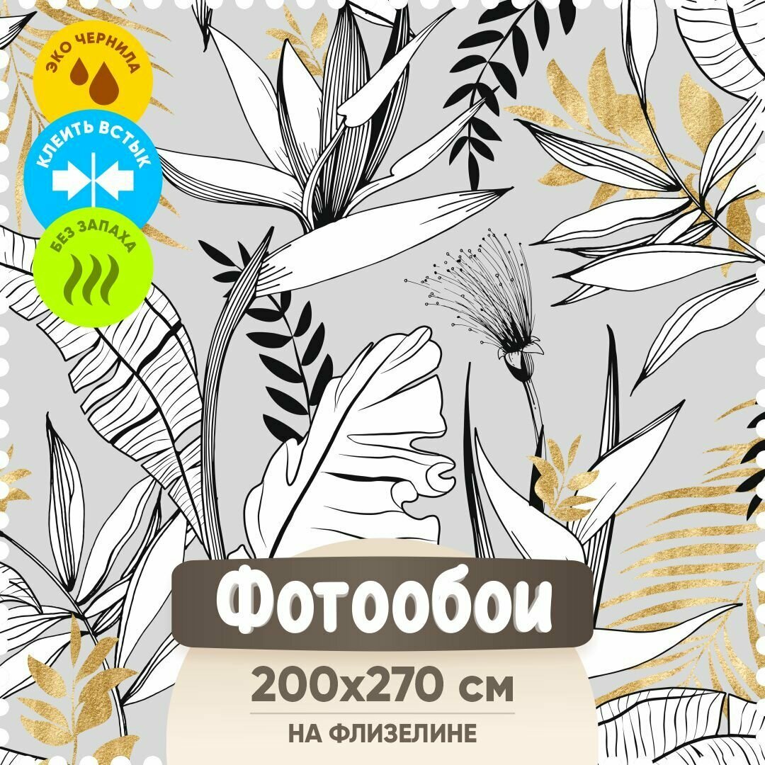 Тропические листья чёрно-белые с фоном (графика) / Флизелиновые фотообои на стену для комнаты: гостиной спальни / 200*270