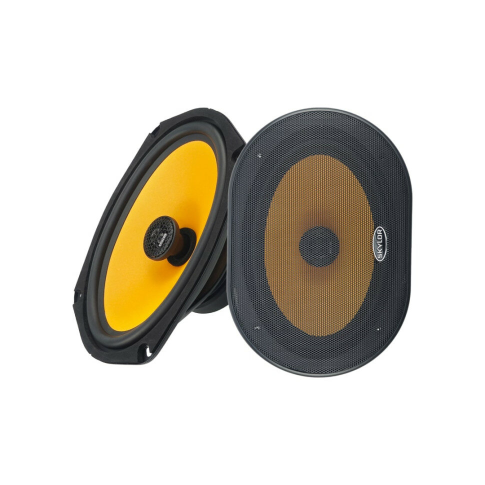 Автоакустика Skylor E69