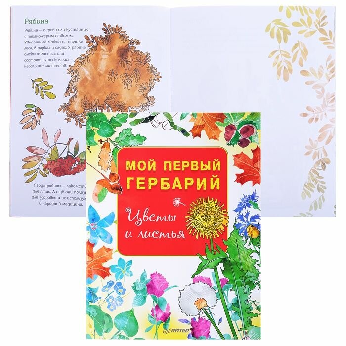 Книга Питер Мой первый гербарий. Цветы и листья (978-5-00116-176-9)