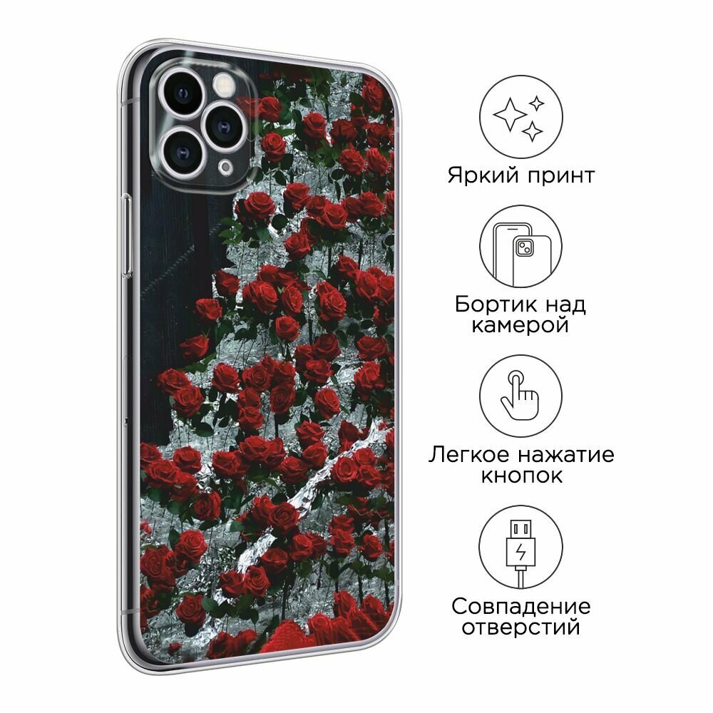 Чехол на Apple iPhone 11 Pro / Айфон 11 Про с принтом Цветущие алые розы — фото 1