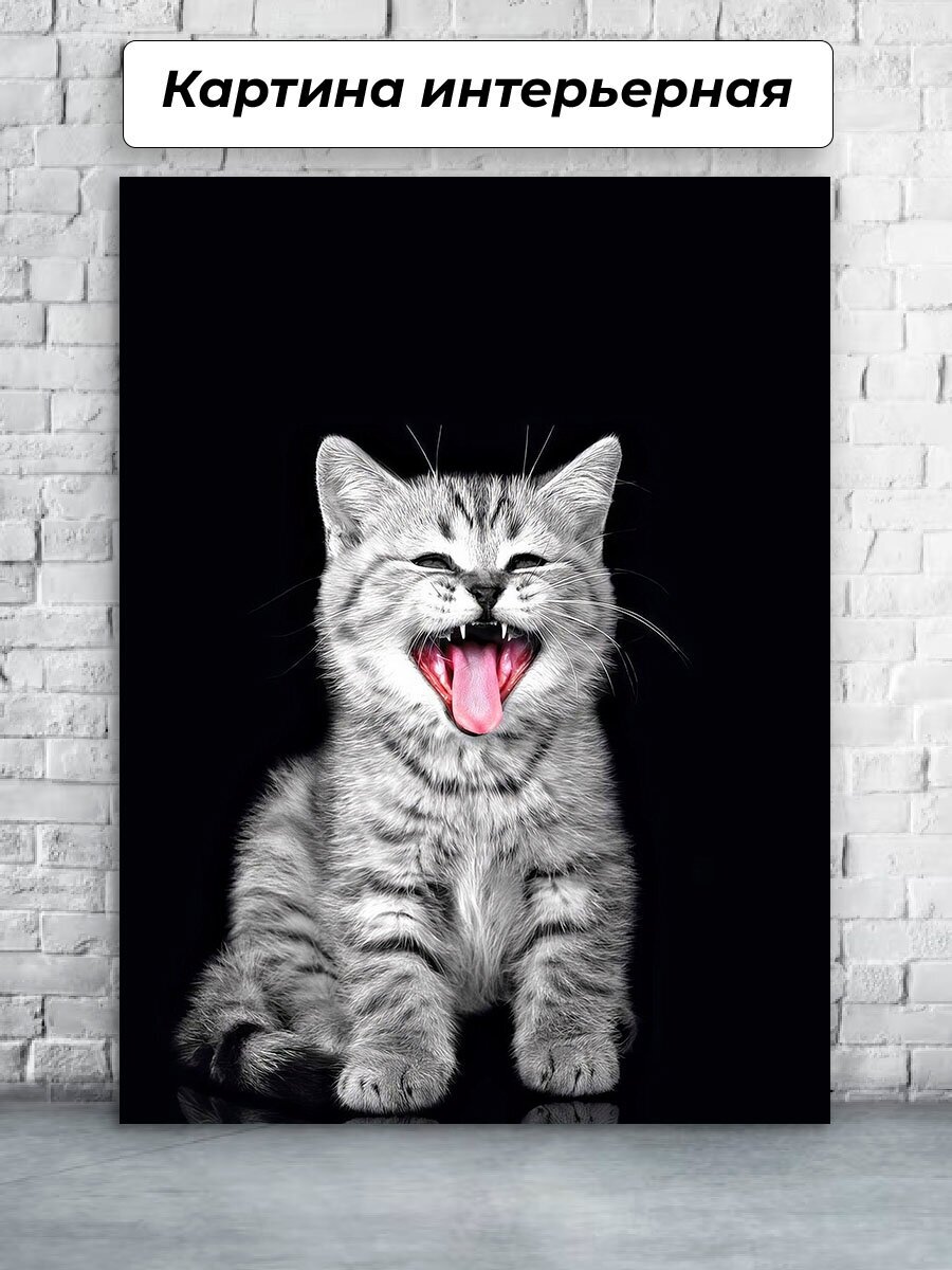 Картина 50х70 Котенок Кошка