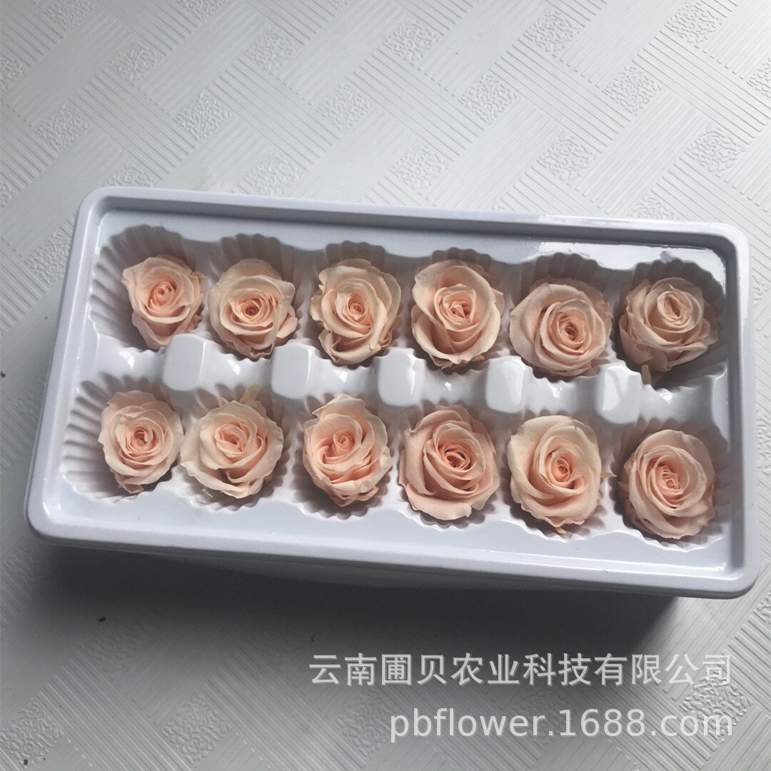 Подарочный набор FLOWER "Цветок А-уровня" Pubei Rose, роза, красное шампанское, 3-4см, 10-12шт