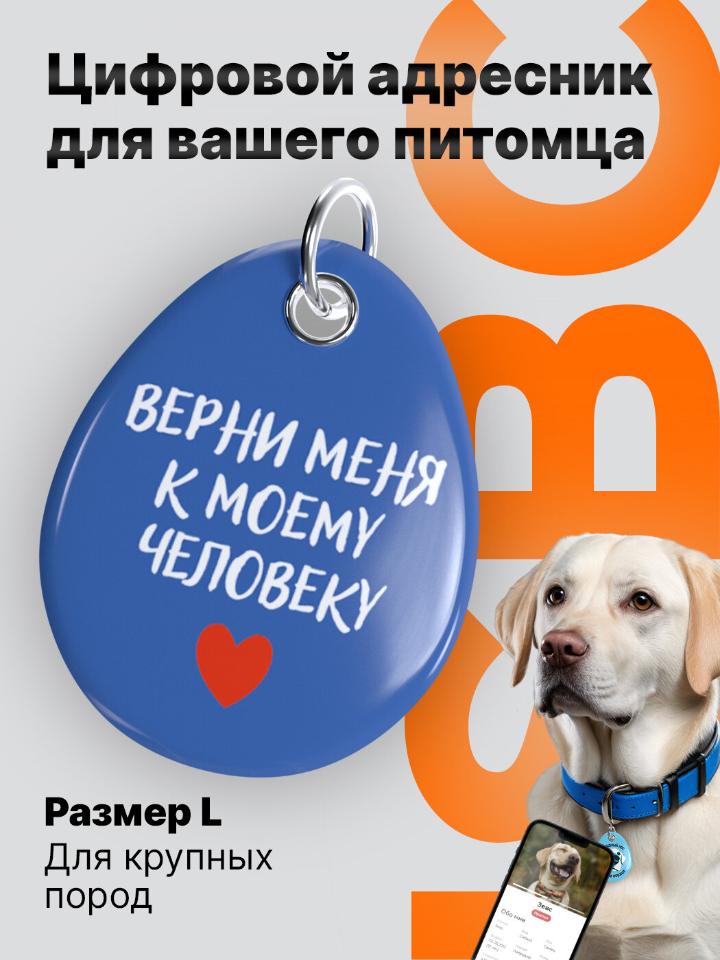 Адресник для собак средних и крупных пород от ISBC с NFC и QR-кодом, Верни меня к моему человеку, синий