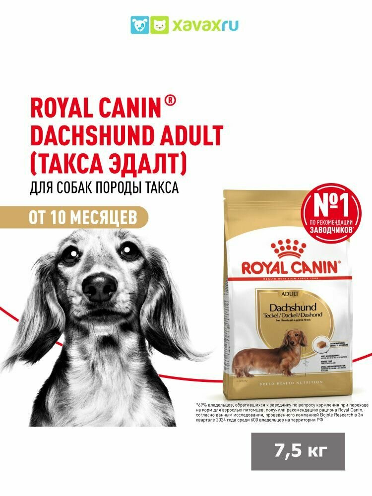 Сухой корм Royal Canin Dachshund Adult для взрослых собак породы Такса от 10 месяцев, 7.5 кг