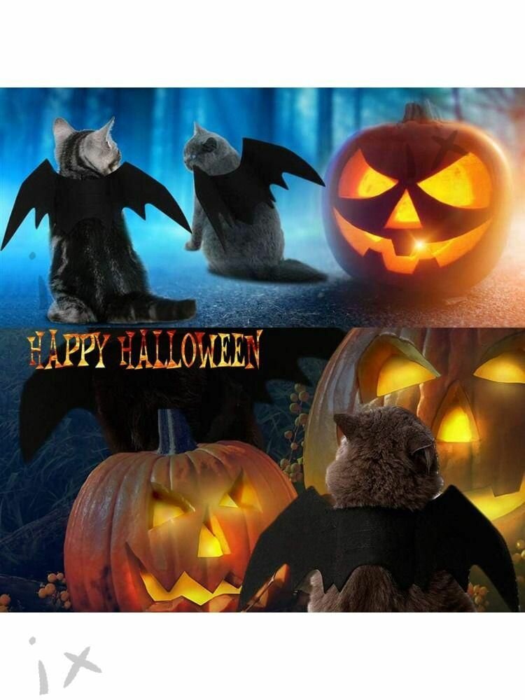 Одежда для животных — фото 1
