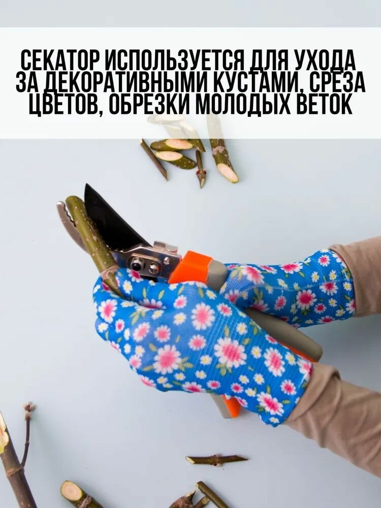 Garden tools Секатор — фото 1