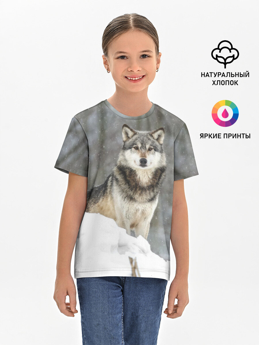 Футболка хлопковая детская Волк и снег