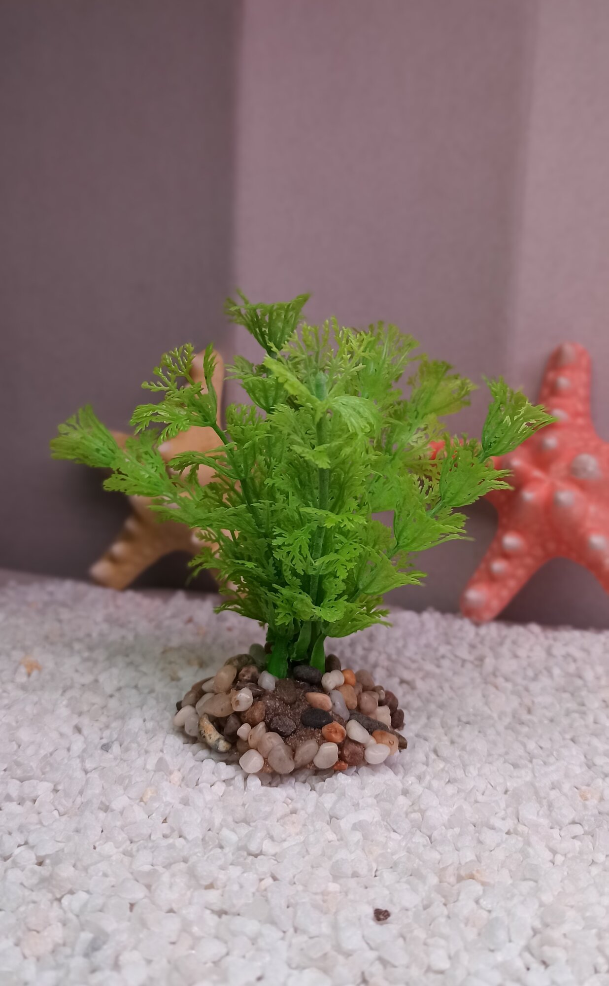 Растение аквариумное искусственное, 13 см