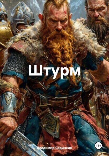 Штурм [Цифровая книга]