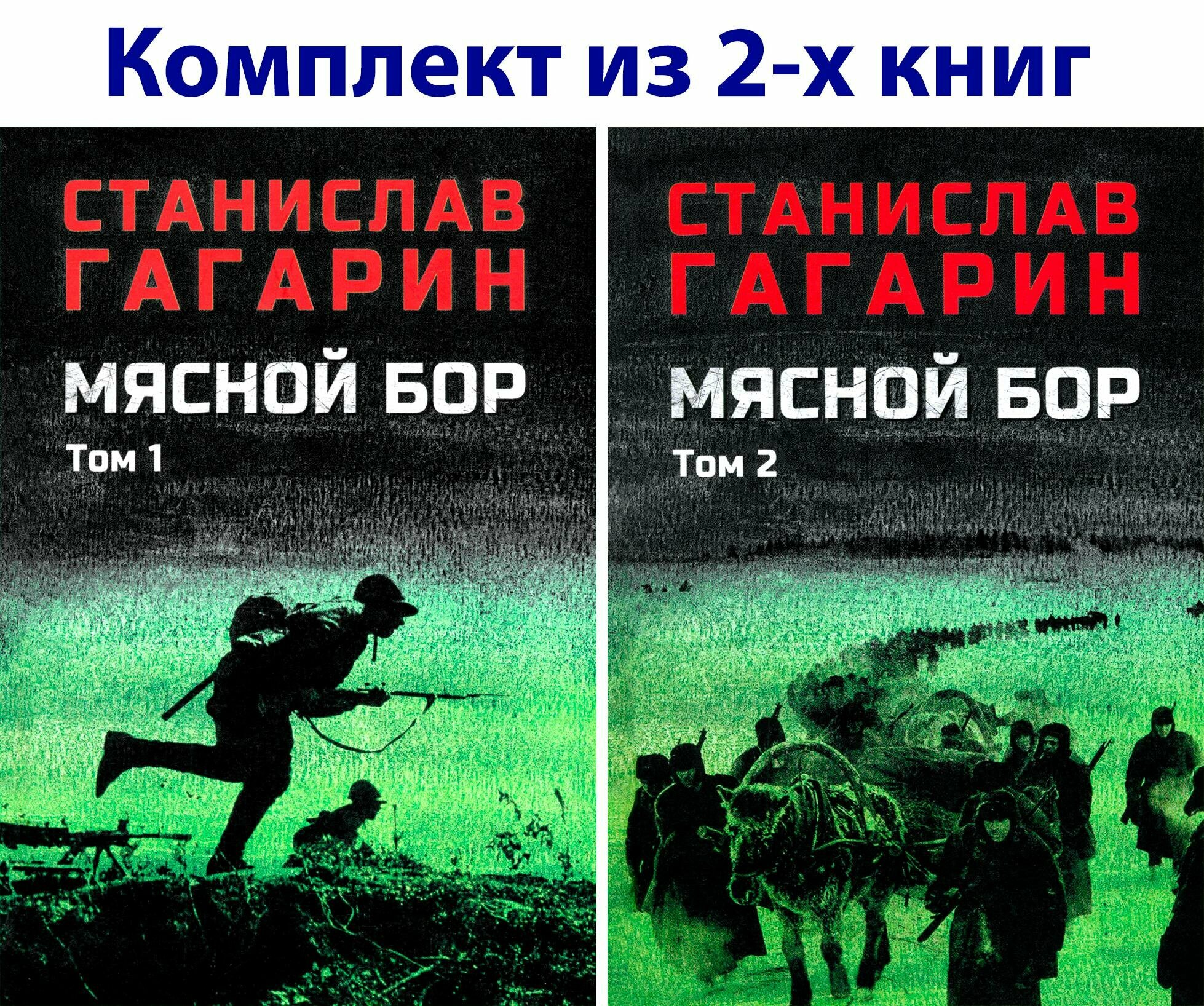 Мясной Бор. В 2-х томах