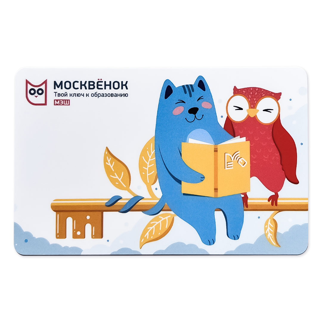 Карта "Москвёнок" пластиковая для детей Сова и Кот / Электронная детская карта для школы