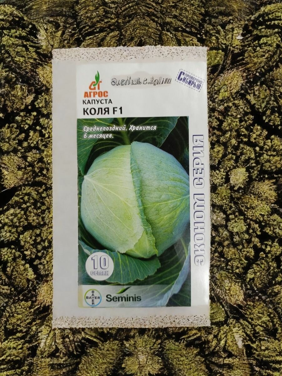 Семена капусты "Коля", среднепоздние, однолетние, 10 семян, для всех регионов
