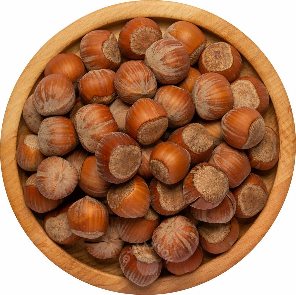 Фундук в скорлупе фундучок 500 г.