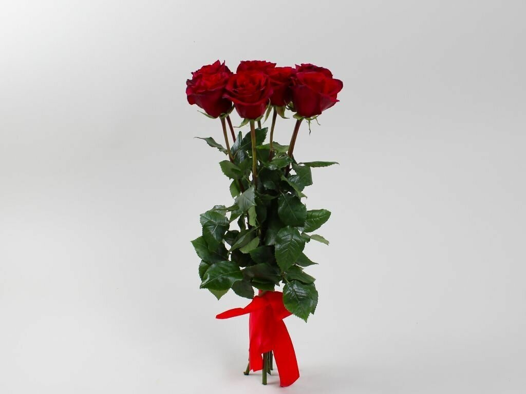 Букет 7 красных роз Эквадор 60 см. Эксплорер