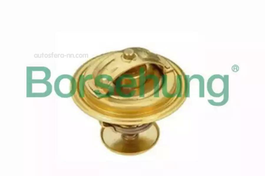BORSEHUNG B18262 Термостат