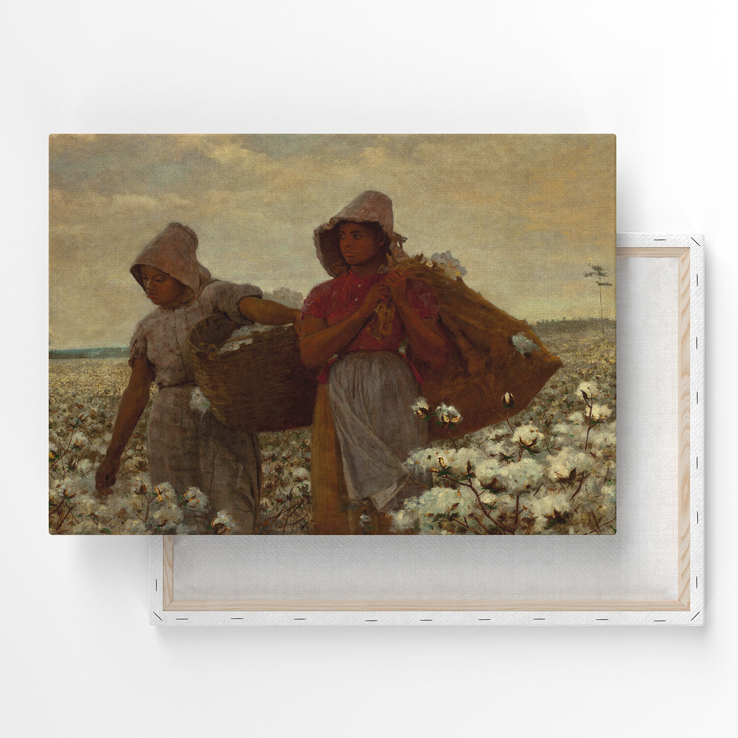 Картина на холсте, репродукция / Уинслоу Хомер - The Cotton Pickers / Размер 30 x 40 см