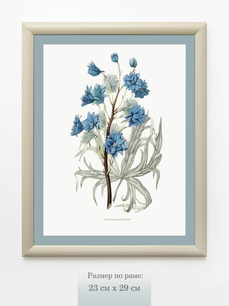 Картина серии "Нежность" на натуральном хлопковом холсте в багетной раме