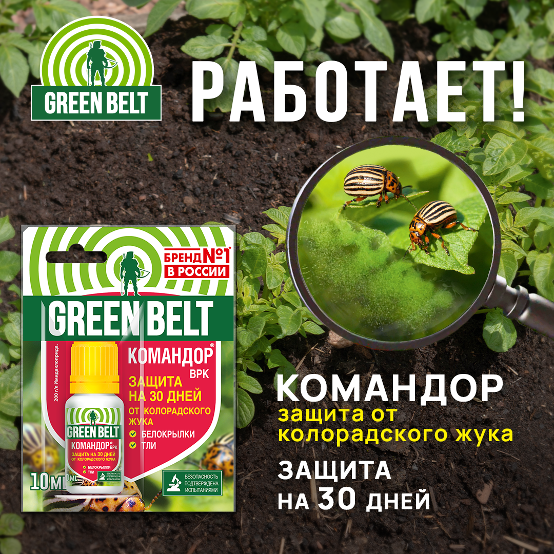 Средство от колорадского жука, тли, белокрылки "Командор" GREEN BELT, 10 мл — фото 1