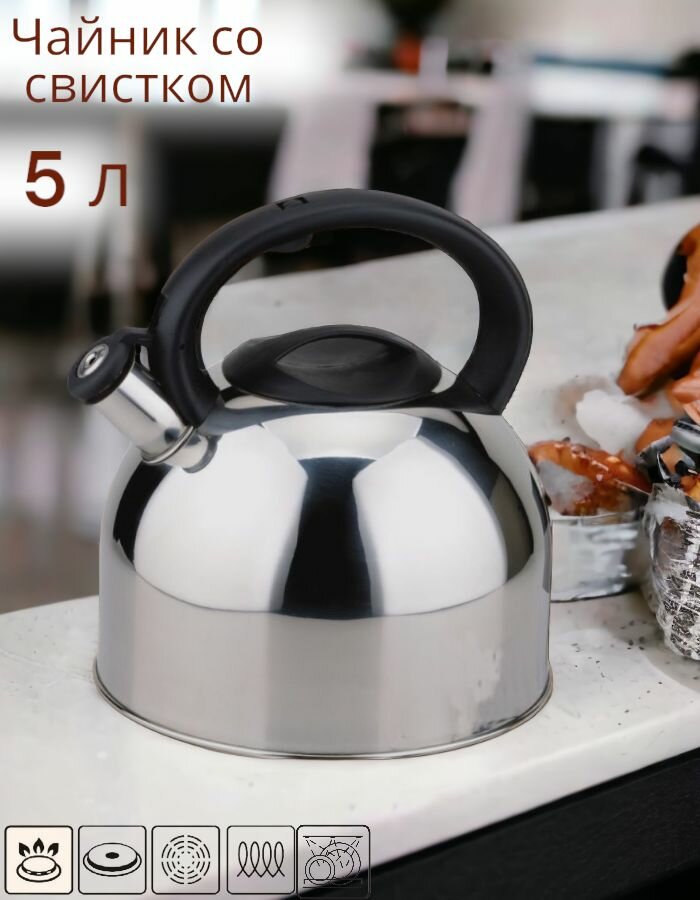 Чайник со свистком BH - 9856 /5,0 л. Индуцкия