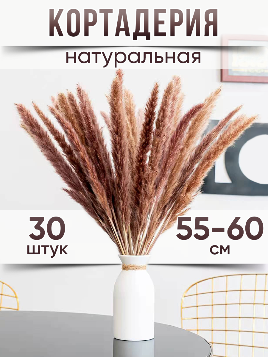Сухоцветы Пампасная трава для декора Кортадерия натуральная 30 шт