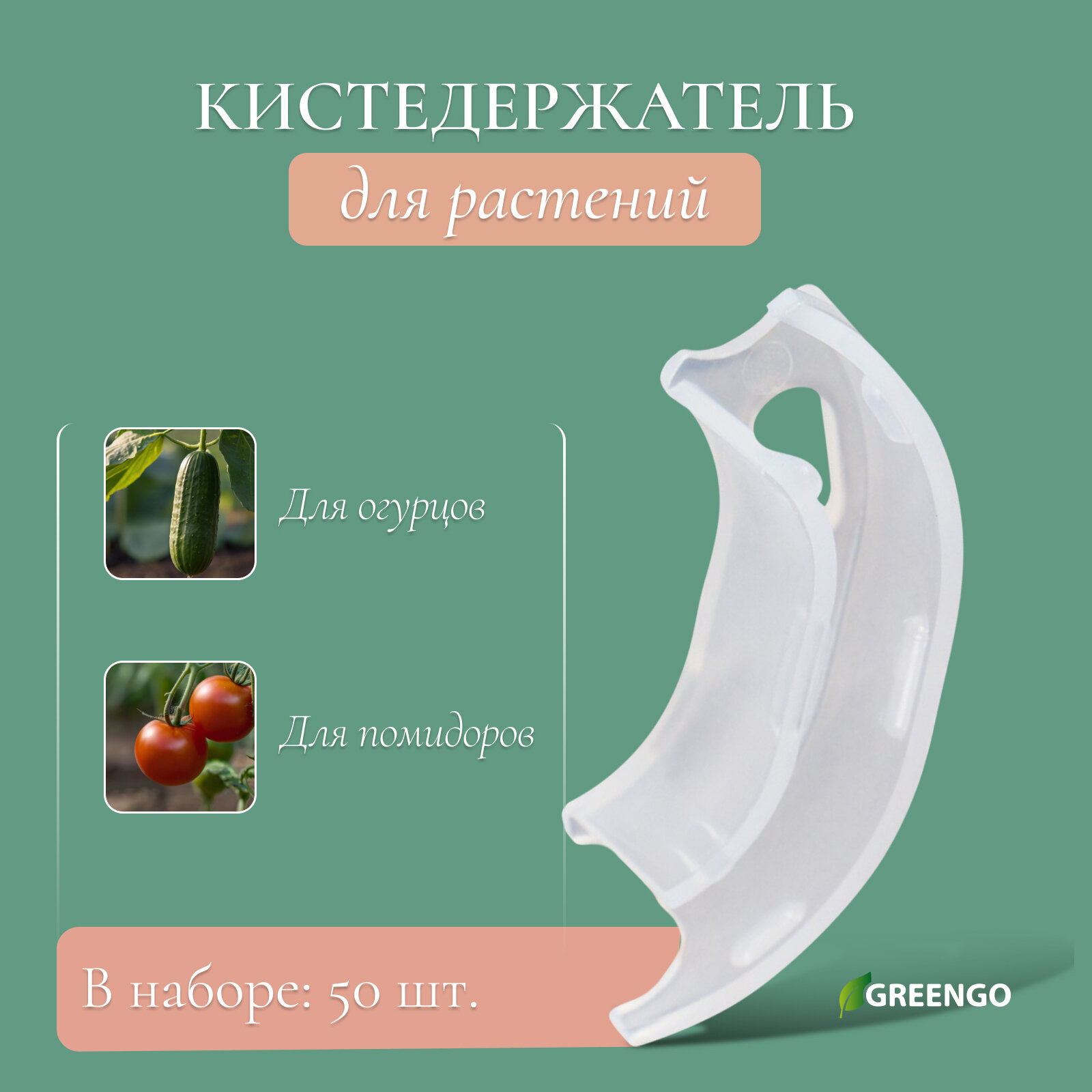Кистедержатель «Улитка», 3.5 см, набор 50 шт, Greengo
