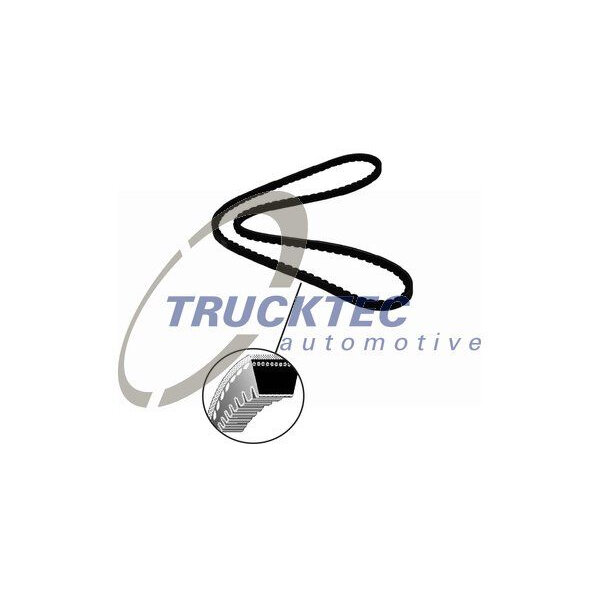 Ремень клиновой для автомобиля, TRUCKTEC 08.19.096 (1 шт.)