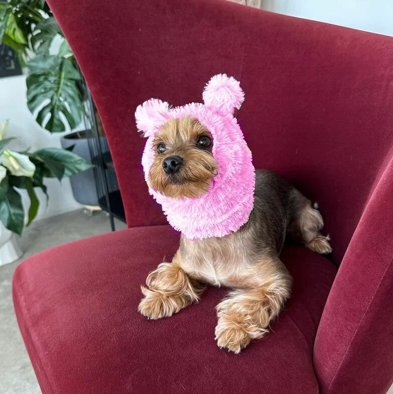 Шапка для собак мелких пород Гамми