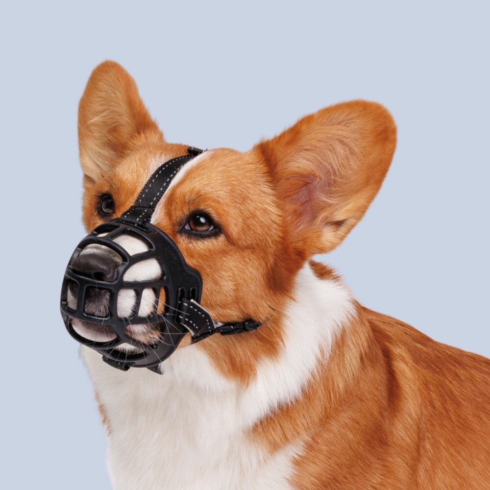 Намордник для собак силиконовый Ergonomic, M, обхват морды 21-26 см