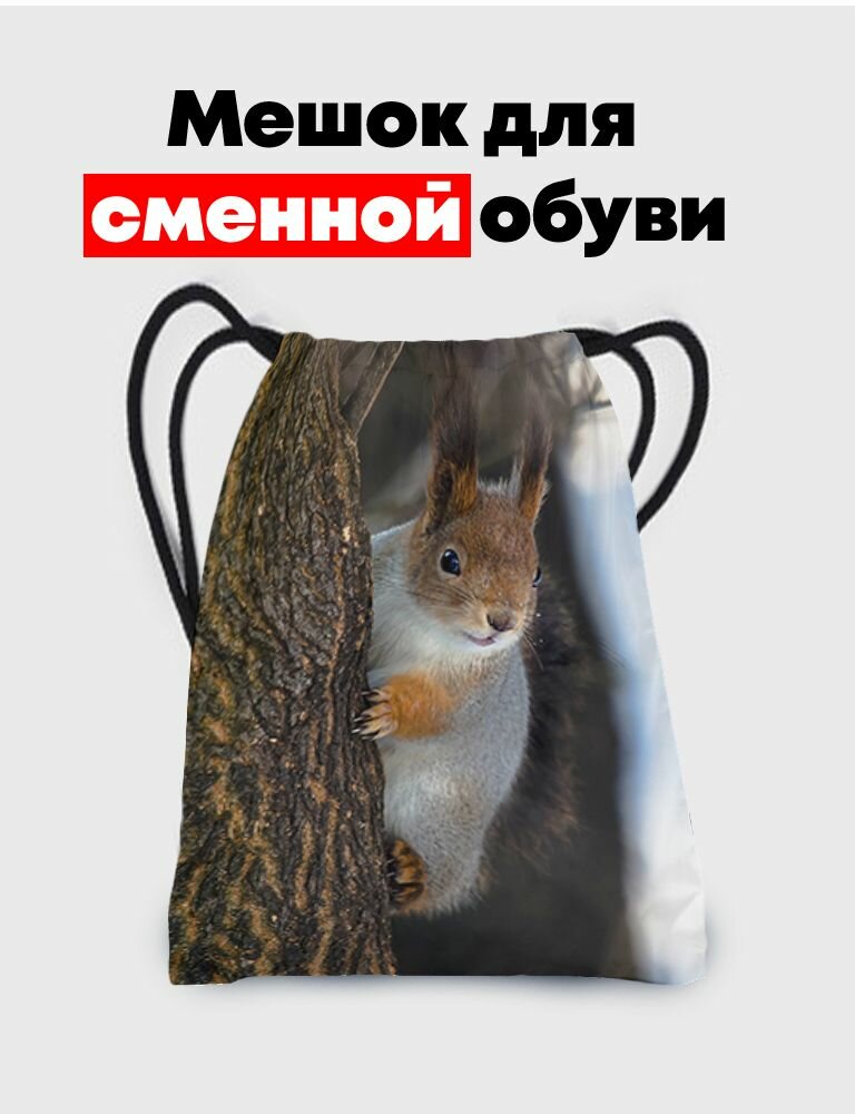 Мешок - сумка для обуви Белка