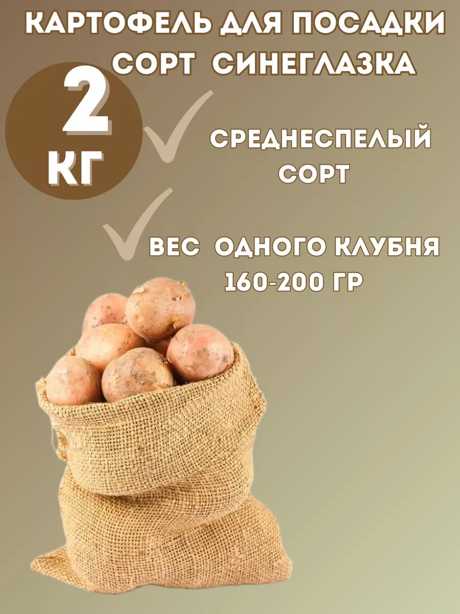 Картофель семенной "Синеглазка" 2 кг