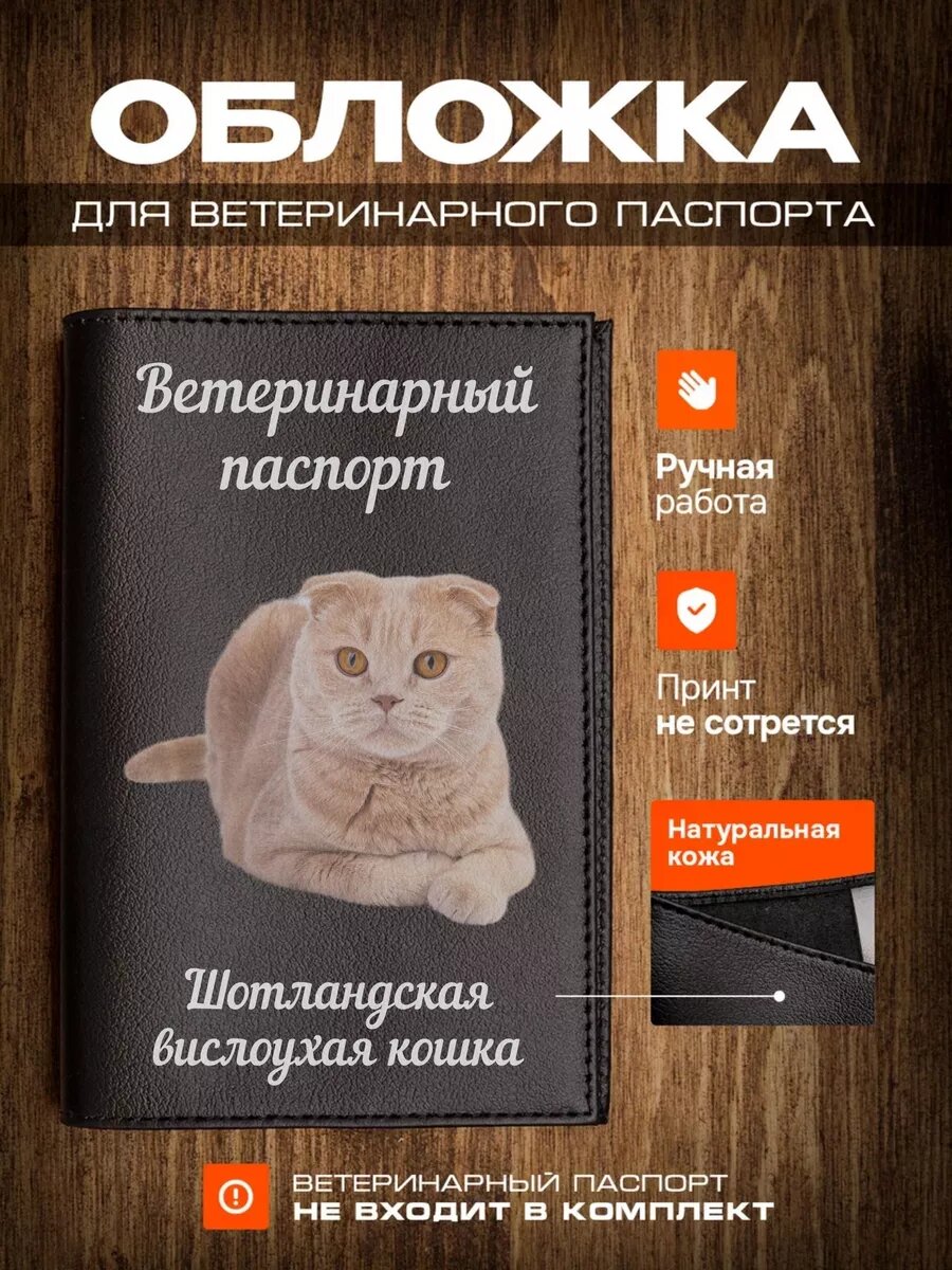 Обложка на ветеринарный паспорт для кошек с принтом Скоттиш-фолд